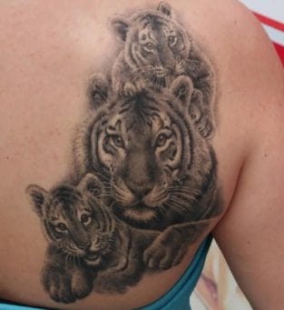 Top 10+ Tiger Family Tattoo Ideas - PetPress