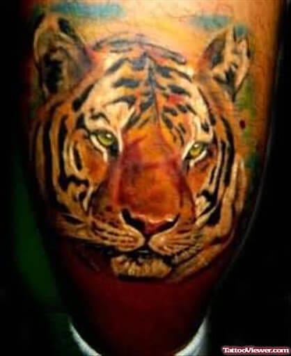 Top 10+ Knee Tattoo Ideas - Tiger Tattoo Designs - PetPress