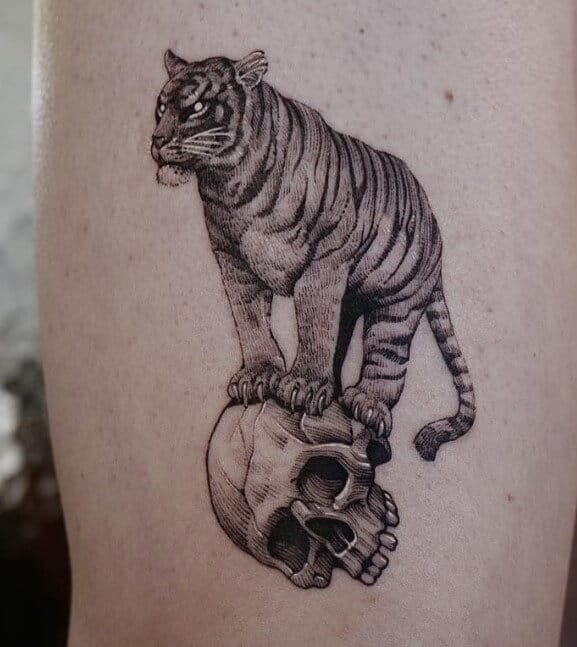 12+ Best Tiger and Skull Tattoo Designs - PetPress