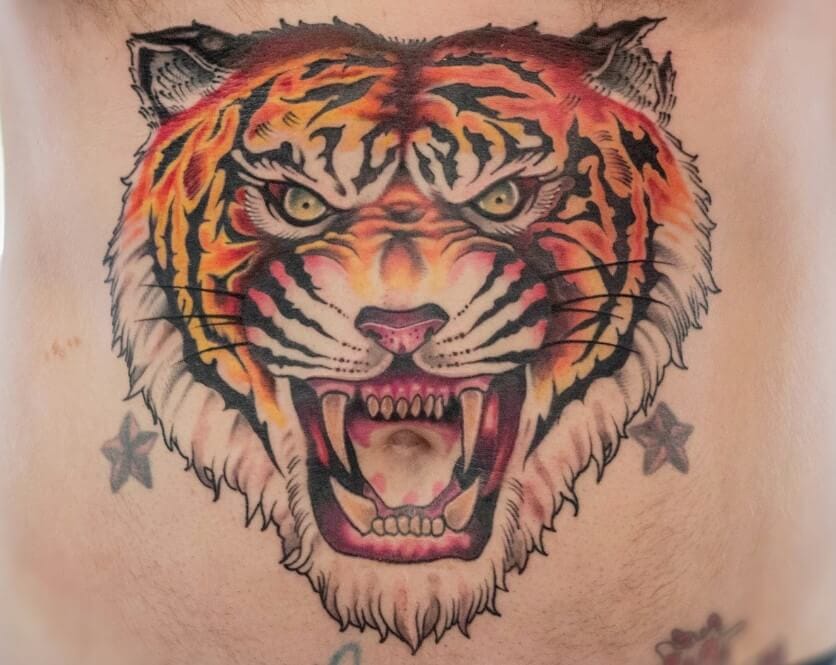12+ Best Tiger Tattoos For Stomach - PetPress