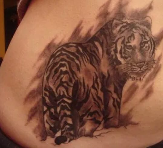 12+ Best Tiger Tattoos For Stomach - PetPress
