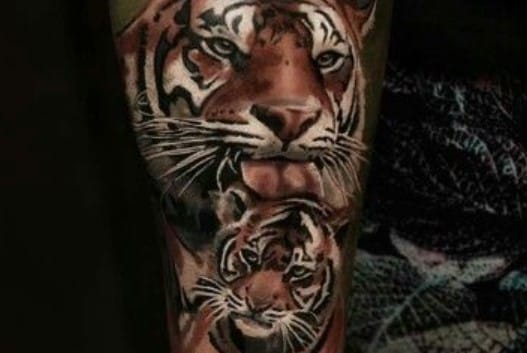 12+ Best Tiger and Cub Tattoo Designs - PetPress