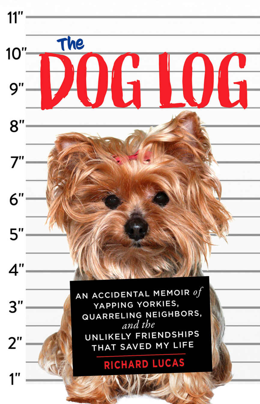 15 Books About Yorkshire Terriers (Part 2) - PetPress