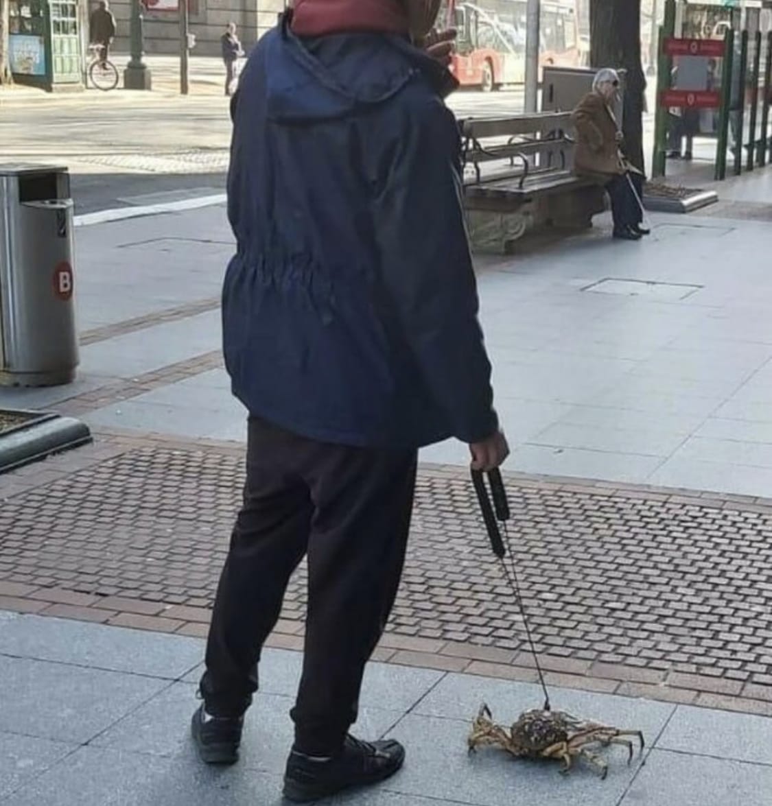 10+ Wild Animals People Found a Place for in Their Homes and Hearts ...