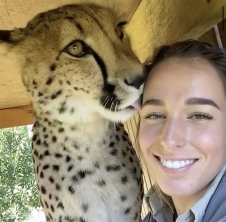 10+ Wild Animals People Found a Place for in Their Homes and Hearts ...