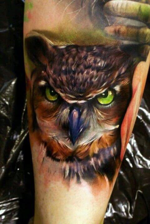 12+ Best Angry Owl Tattoo Ideas - PetPress
