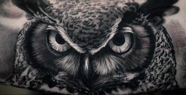 12+ Best Angry Owl Tattoo Ideas - PetPress