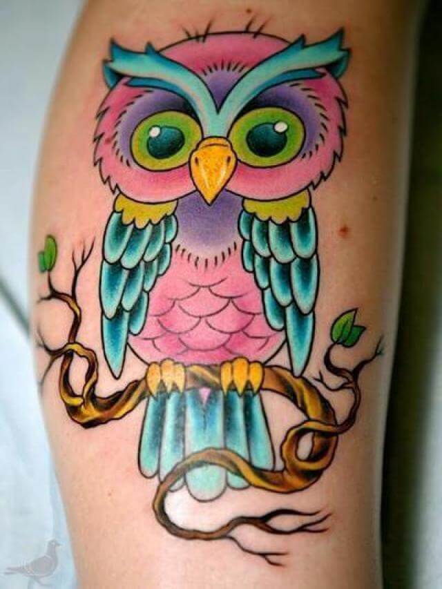 12+ Best Cartoon Owl Tattoo Ideas - PetPress
