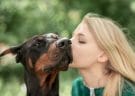 15 Things Only Doberman Owners Will Understand - PetPress