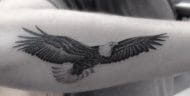 12+ Small Eagle Tattoo Designs and Ideas - PetPress