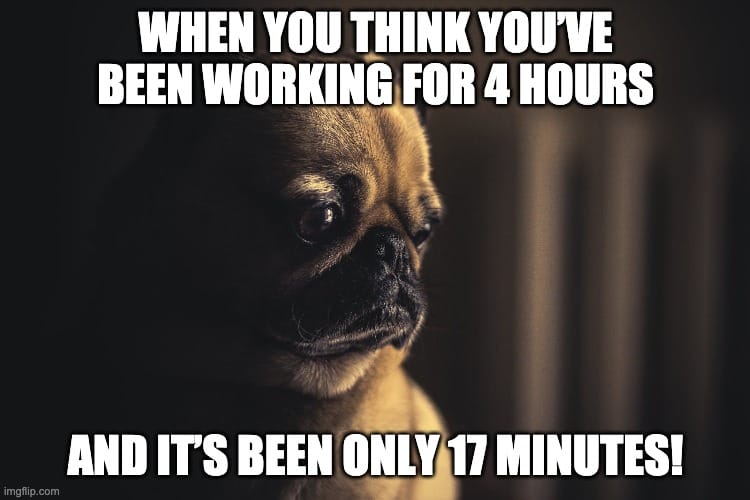 Best 20+ Dogs Working From Home Memes List - PetPress