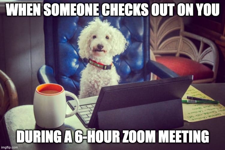 Best 20+ Dogs Working From Home Memes List - Page 5 of 5 - PetPress