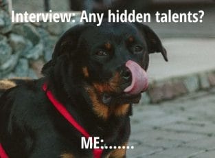 Top 10 Hilarious Rottweiler Memes From The Internet!