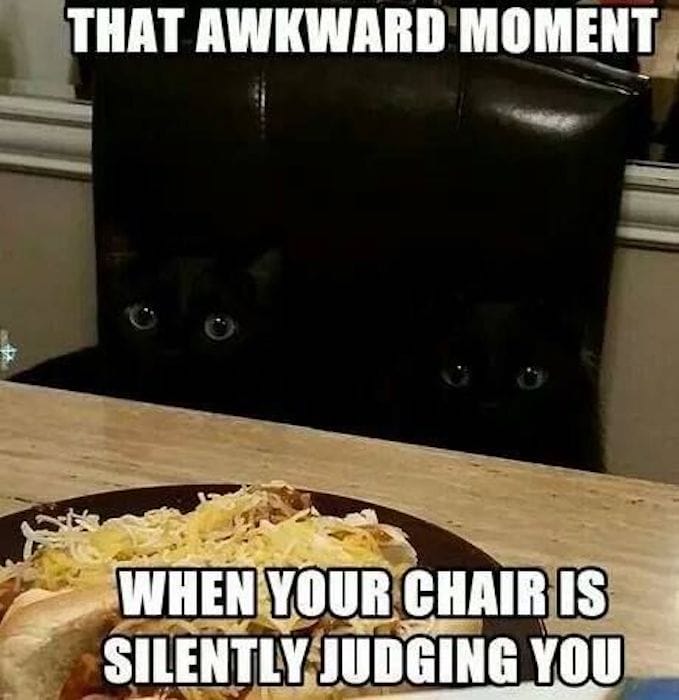 Top 15 Black Cat Memes That Are Terrifyingly Funny!