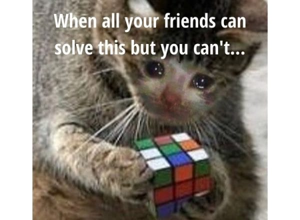 Top 10+ Crying Cat Memes That Will Make You Go ‘Awwww!”
