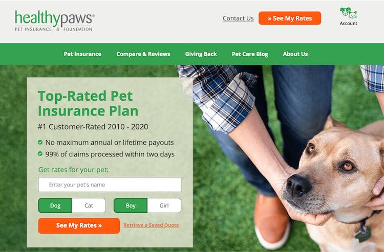 7 Best Insurance Companies for your PET! | PetPress