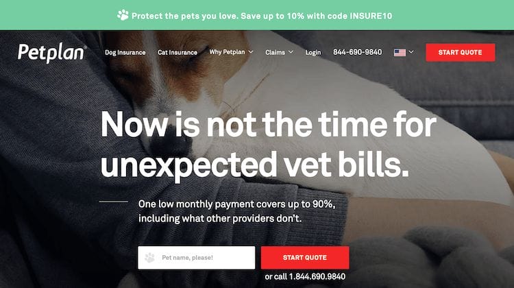 7 Best Insurance Companies for your PET! | PetPress