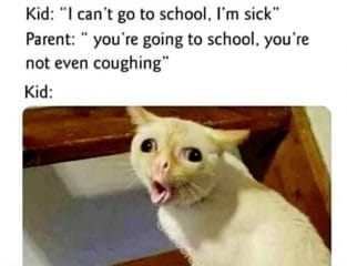 Story of the Coughing Cat: 10+ Funny Coughing Cat Images and Memes