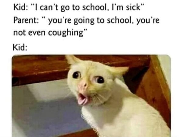 Story of the Coughing Cat: 10+ Funny Coughing Cat Images and Memes Story of the Coughing Cat: 10+ Funny Coughing Cat Images and Memes