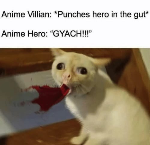 Story of the Coughing Cat: 10+ Funny Coughing Cat Images and Memes