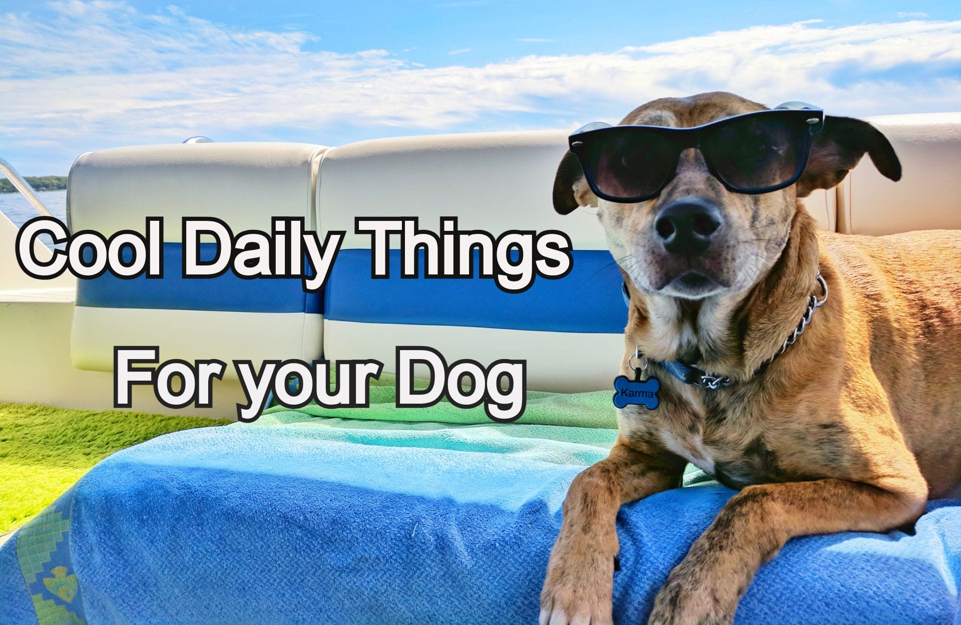 20+ Cool Things That You Should Have For Your Dog - PetPress