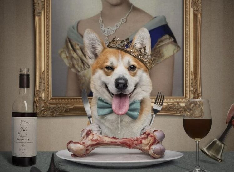 20+ Most Pawsitive Pet Stories Of The Year - Page 2 of 4 - PetPress