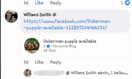 Puppy Scams Exposed - Tips On How To Spot A Scammer