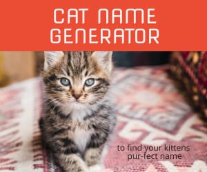 130+ Minecraft Cat Names to Call Your Cuddly Kitty