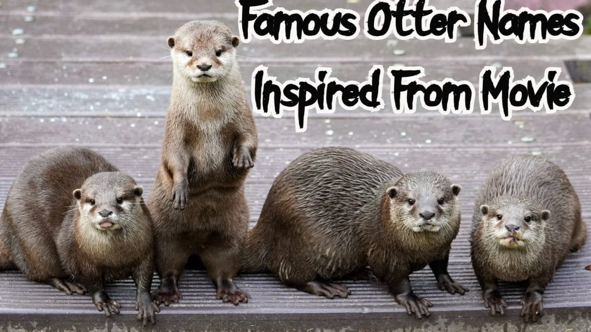 200+ Otter Names and the Cutest Names for Otters
