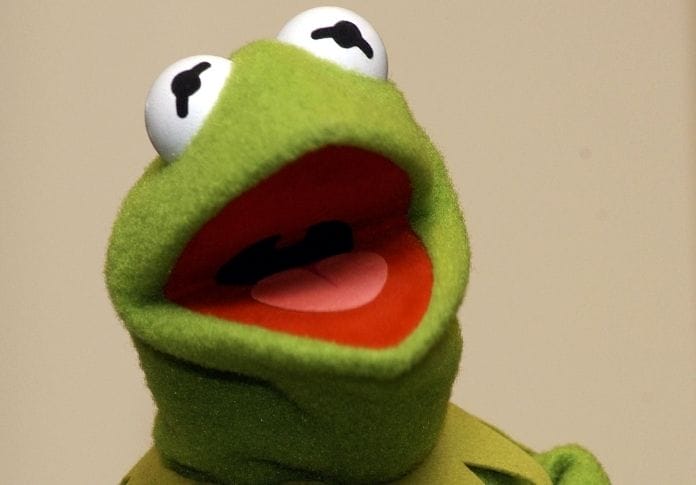 Best Frog Names For Naming A Pet Frog - PetPress