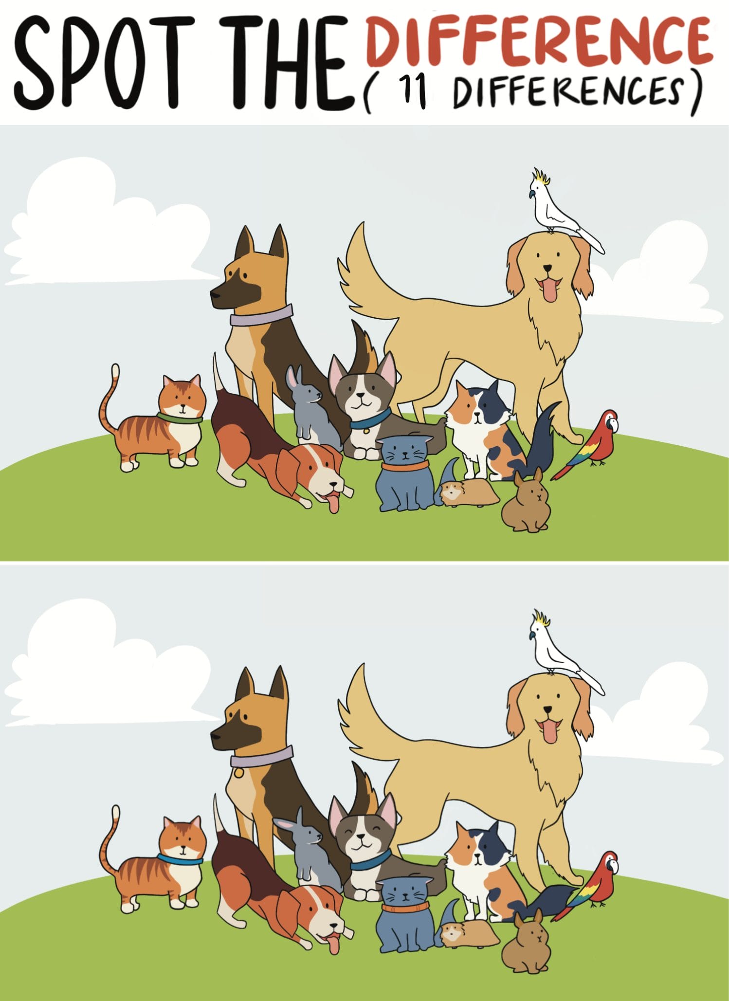 3 Exciting Dog Puzzles To Ponder! - PetPress