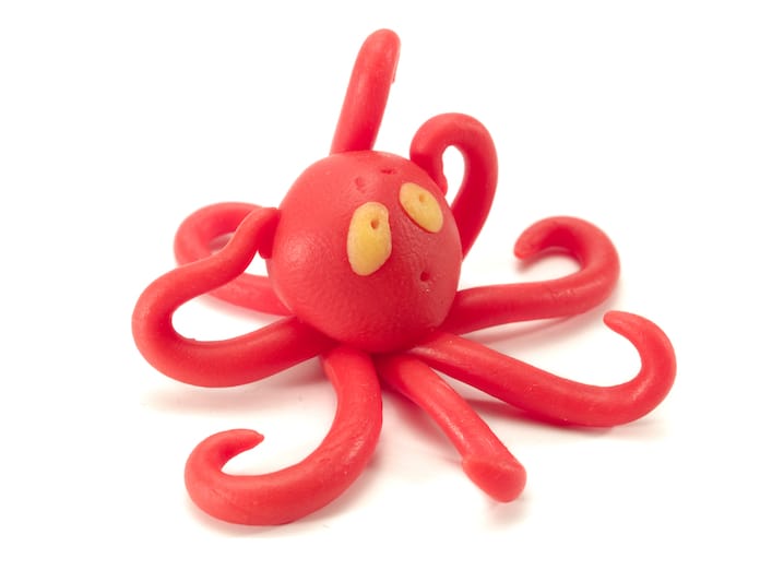 Octopus Names – Top 160+ Names For Your Pet Octopus