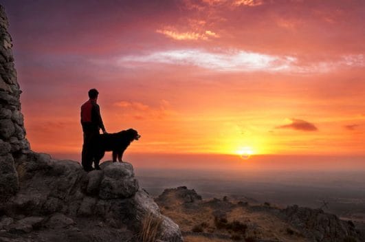 150+ Sun Dog Names - Popular Sun Based Names For A Dog