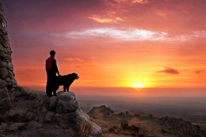 150+ Sun Dog Names - Popular Sun Based Names For A Dog