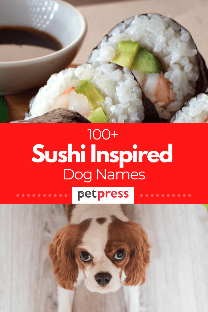 100+ Sushi Inspired Dog Names - Cute Name Ideas For Your Pooch