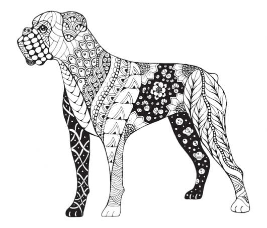 100+ Zen Dog Names - Cool Zen Names For Dogs With Meanings