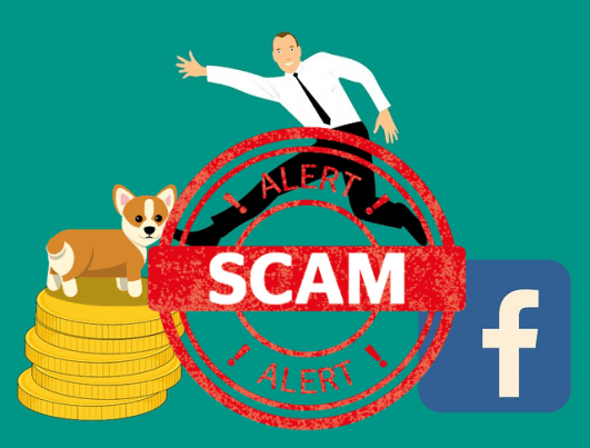 Facebook Puppy Scams Reaching All Time Highs