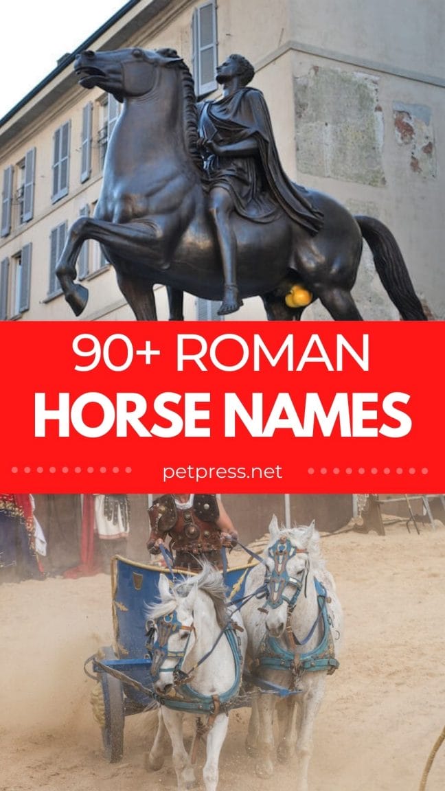 90+ Famous Roman Horse Names: Roman Names With Meanings