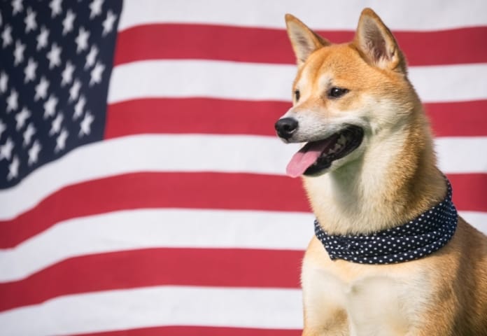 Dog in Politics Day: 6 Dogs in Politics & Who Owns Them