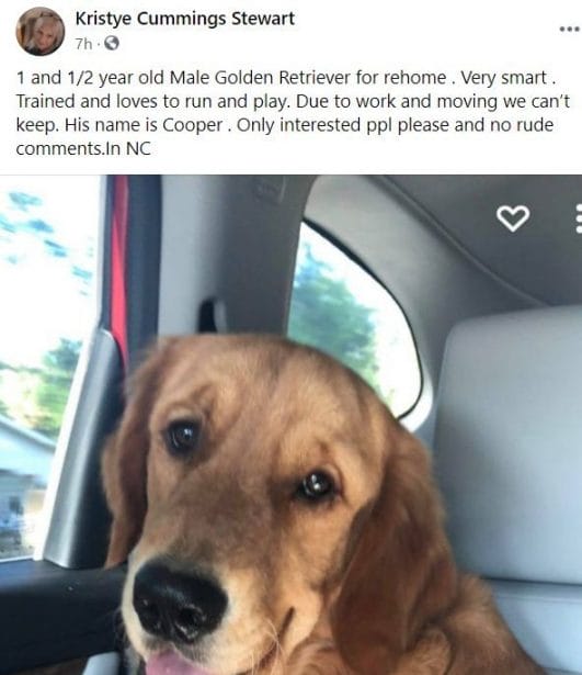 10 Signs of a Facebook Puppy Scam: Scamming a Scammer