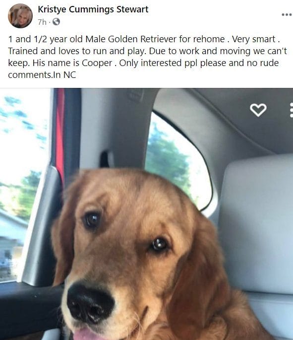 10 Signs of a Facebook Puppy Scam: Scamming a Scammer