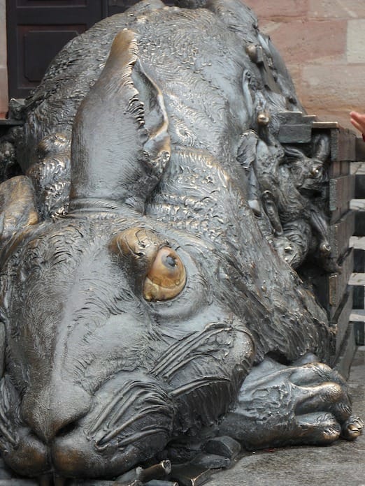 100+ Famous Rabbit Names and Characters: Naming Your Pet Bunny