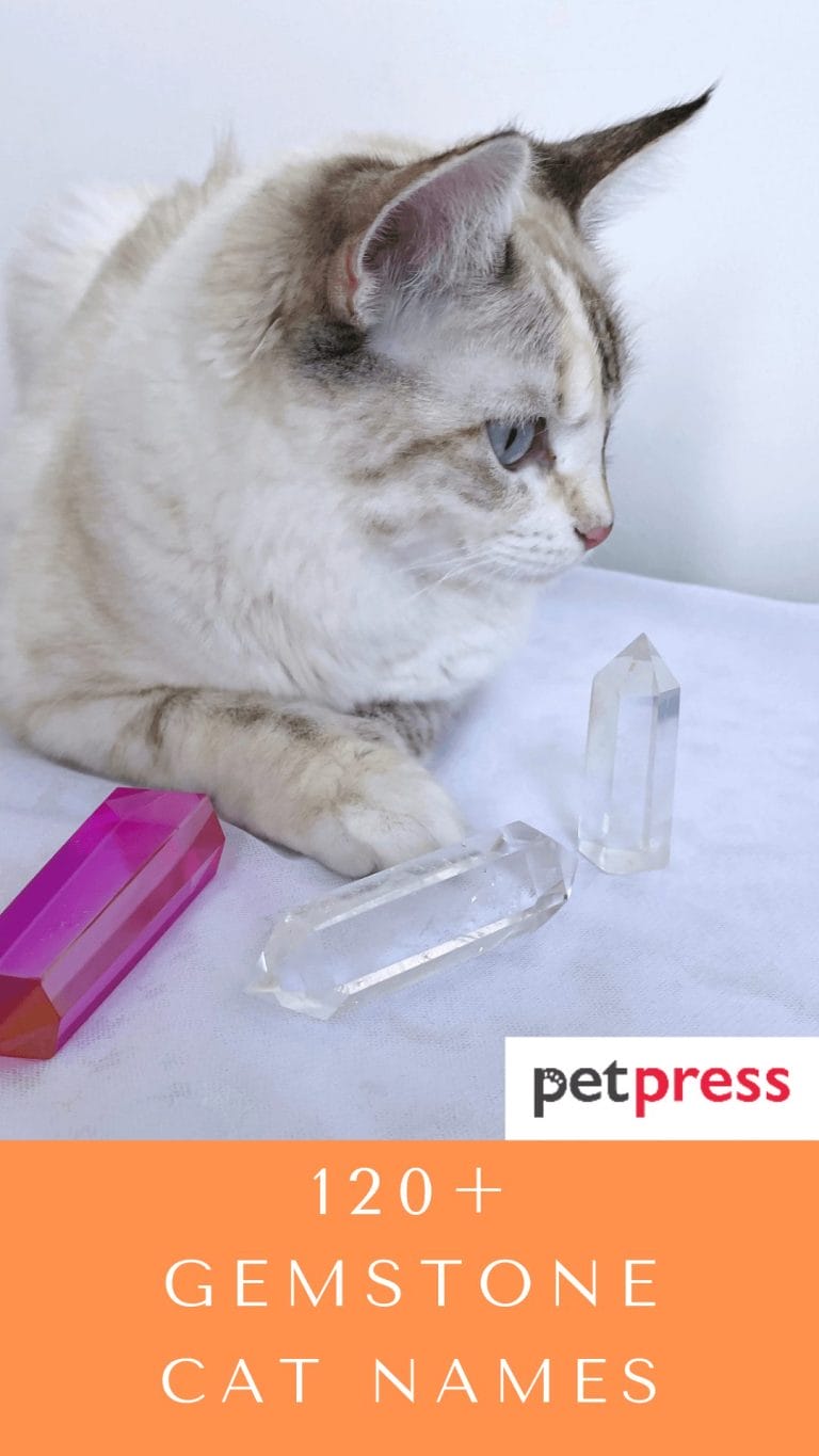 120+ Gemstone Inspired Cat Names For Your Furry Feline Friend