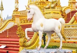 Strong Horse Names: 200+ Names For Strong, Tough, & Powerful Horses