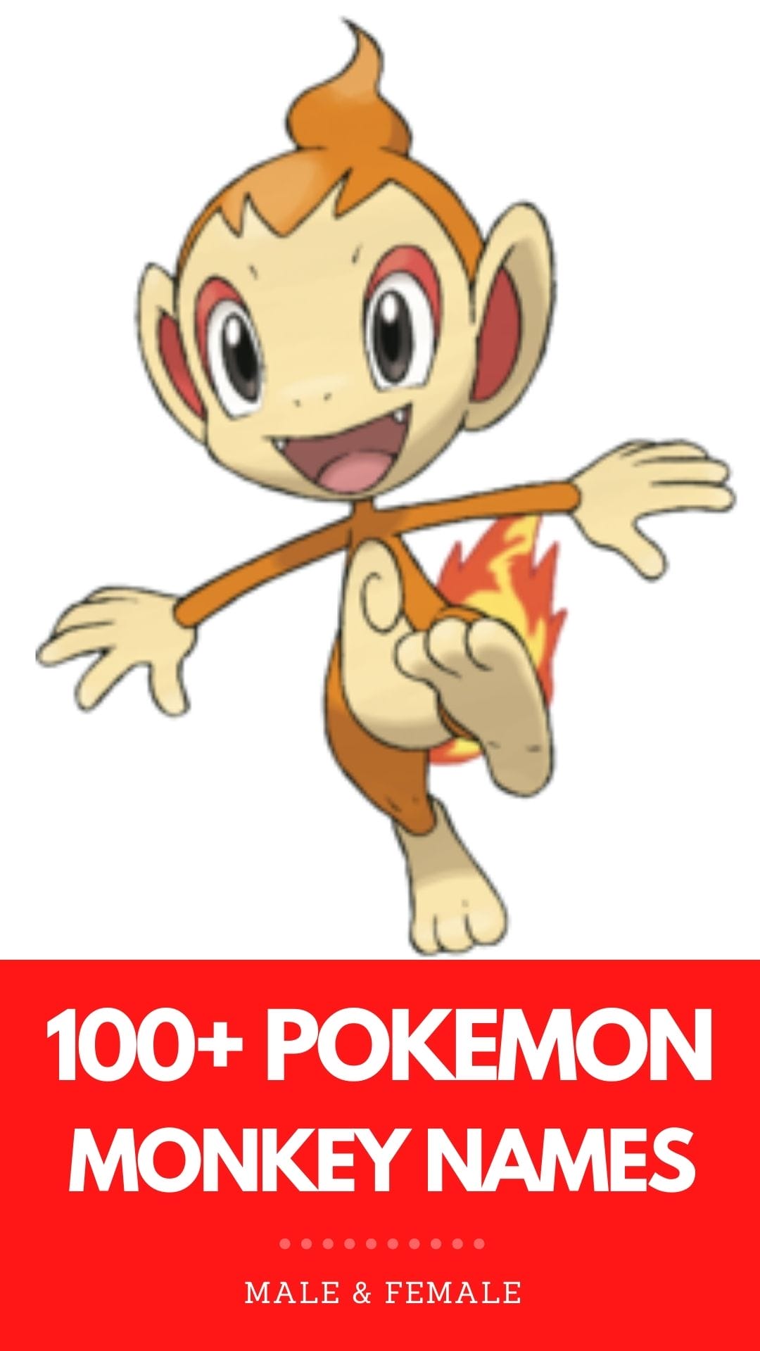 100+ Monkey Pokemon Names: Names Inspired by Pokemon