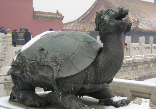 200+ Dragon Turtle Names for Your Pet Turtle | PetPress