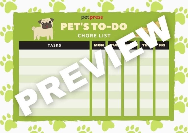 10 Free Pet Chore Printables for Kids That Will Keep Your Home Clean