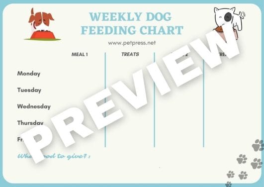 The 6 Best Pet Feeding Printables: A Guide to Feeding Your Pet