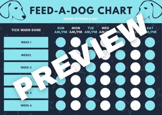 The 6 Best Pet Feeding Printables: A Guide to Feeding Your Pet