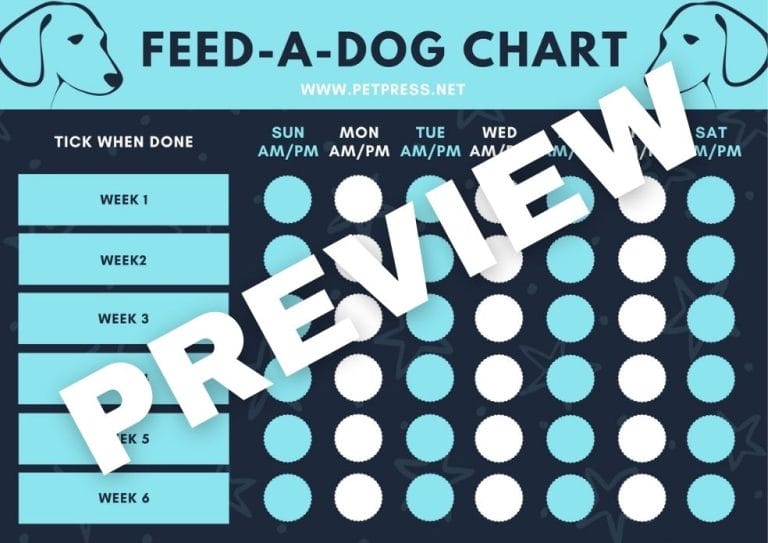 The 6 Best Pet Feeding Printables: A Guide to Feeding Your Pet
